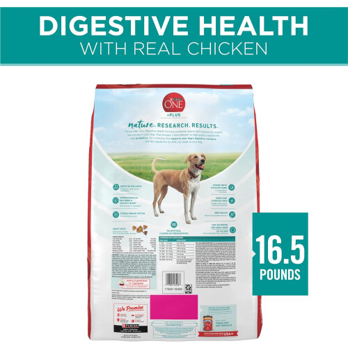 Purina One Plus Digestive Health Formula Dry Dog Food Natural with ...