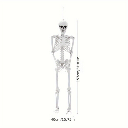 (157cm) Giant Full Life Size Human Skeleton Model Horror Bone Posable ...