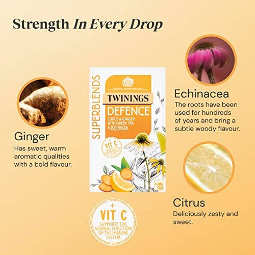 Twinings Superblends Defence Tea - Citrus & Ginger Green Tea Herbal ...