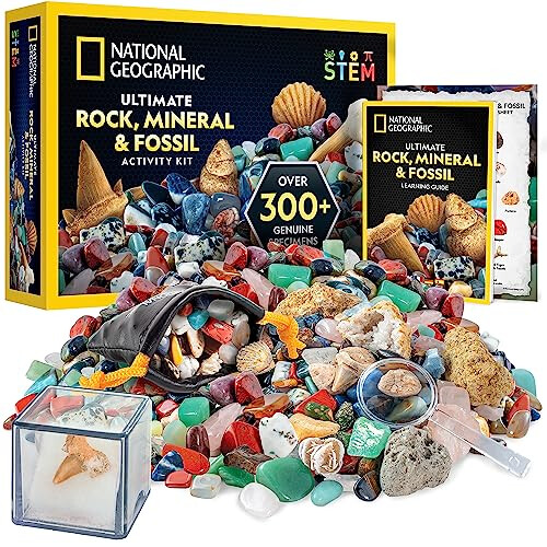 NATIONAL GEOGRAPHIC Rock Collection and Fossils for Kids? 300+ Piece ...
