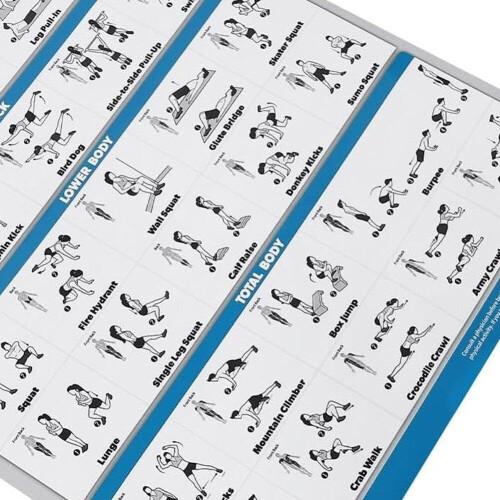 Body Weight Workout Poster, Bodyweight Exercises Poster for Home Gym ...