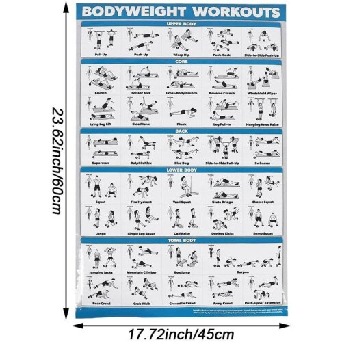 Body Weight Workout Poster, Bodyweight Exercises Poster for Home Gym ...
