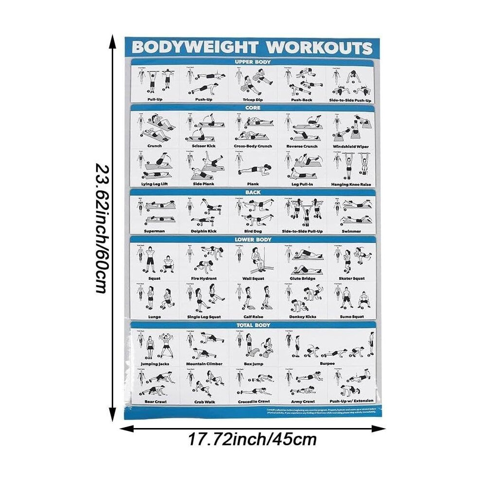 Body Weight Workout Poster, Bodyweight Exercises Poster for Home Gym ...