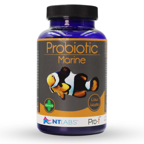 Pro-f Probiotic Marine, Floating and Sinking Marine Fish Food, Granular ...