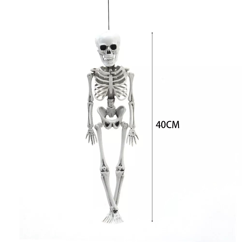 (40cm Full Life Size) 1-5.5ft Halloween Human Skeleton Skull Bones Full ...