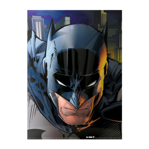 Batman The Cowl The Scowl 3D Poster on OnBuy