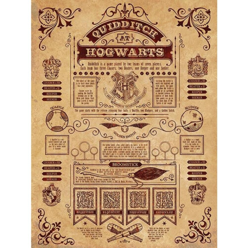Harry Potter Quidditch At Hogwarts Framed Canvas Print on OnBuy
