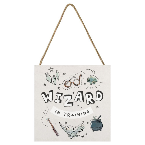 Harry Potter Wizard In Training Wooden Block on OnBuy