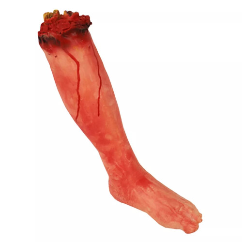 (SEVERED LEG - 47CM LONG) HALLOWEEN LIFE SIZE SEVERED BODY PARTS PROP ...