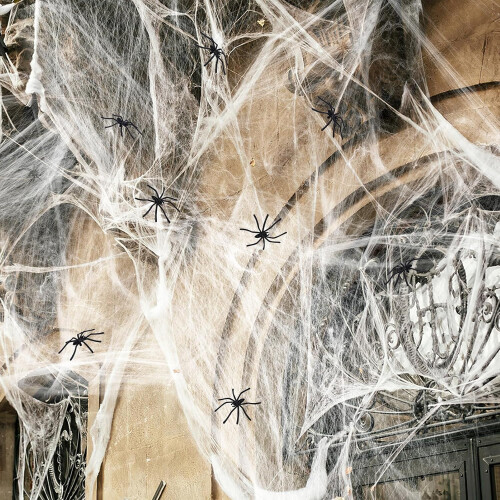 Halloween Decorations Outdoor Spider Web Set Indoor, 100g Spooky ...