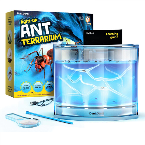 Light-up Ant Farm Terrarium Kit for Kids – LED Ant Habitat for Live ...