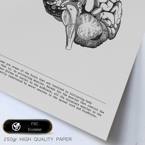 Set of 6 posters of internal organs. Collection of plates with ...