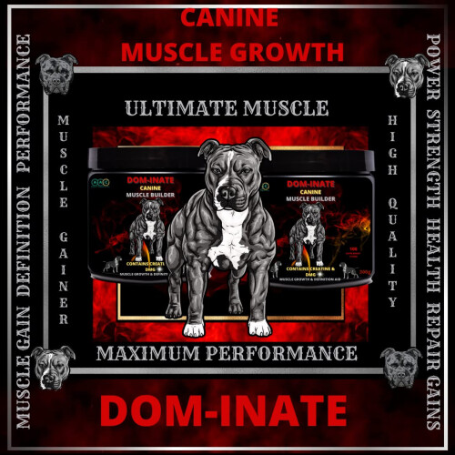 Dog Muscle Builder All Breeds Muscle Gainer for Dogs Dominate Bully ...