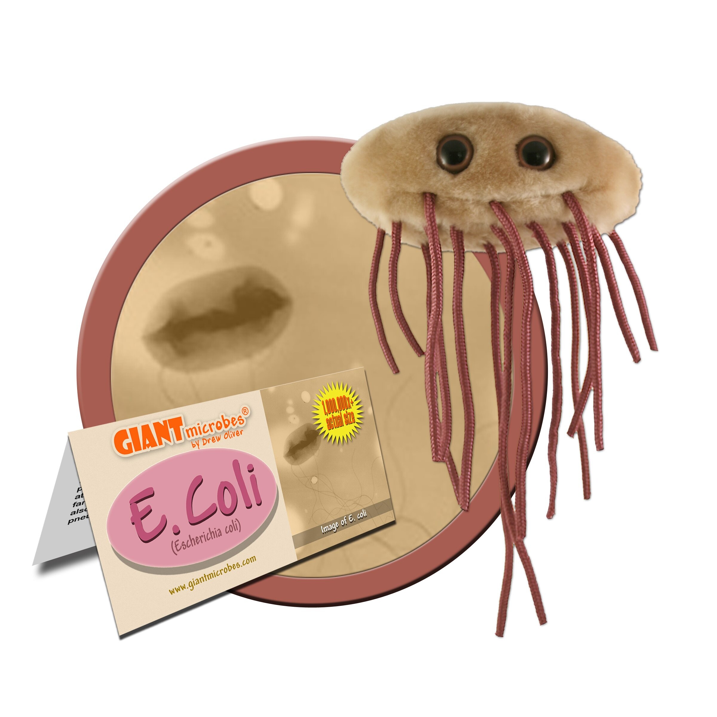 GiantMicrobes E. Coli Plush - Renseignez-vous sur l'importance de la ...
