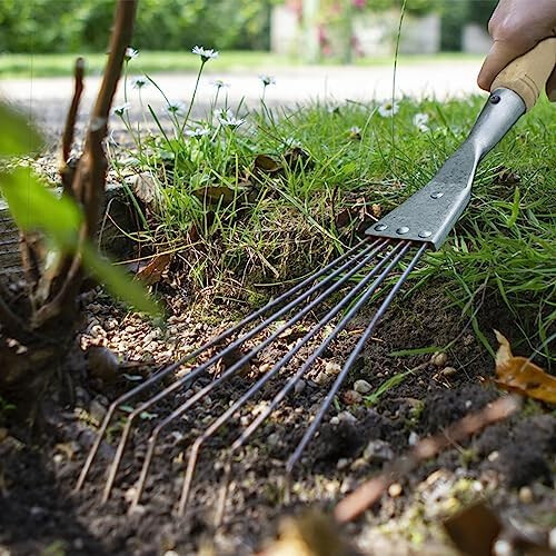 Hand Rake – Garden Rake with Bamboo Handle and Steel Head – Ideal for ...