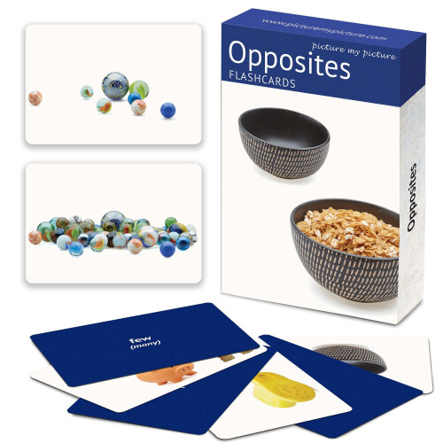 Opposites Matching Flash Cards | 40 Language Builder Picture Cards ...