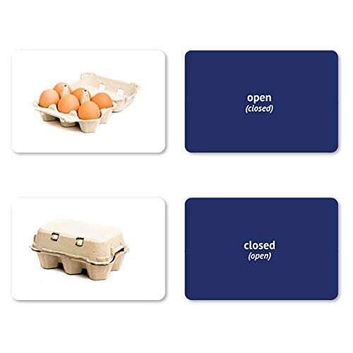 Opposites Matching Flash Cards | 40 Language Builder Picture Cards ...