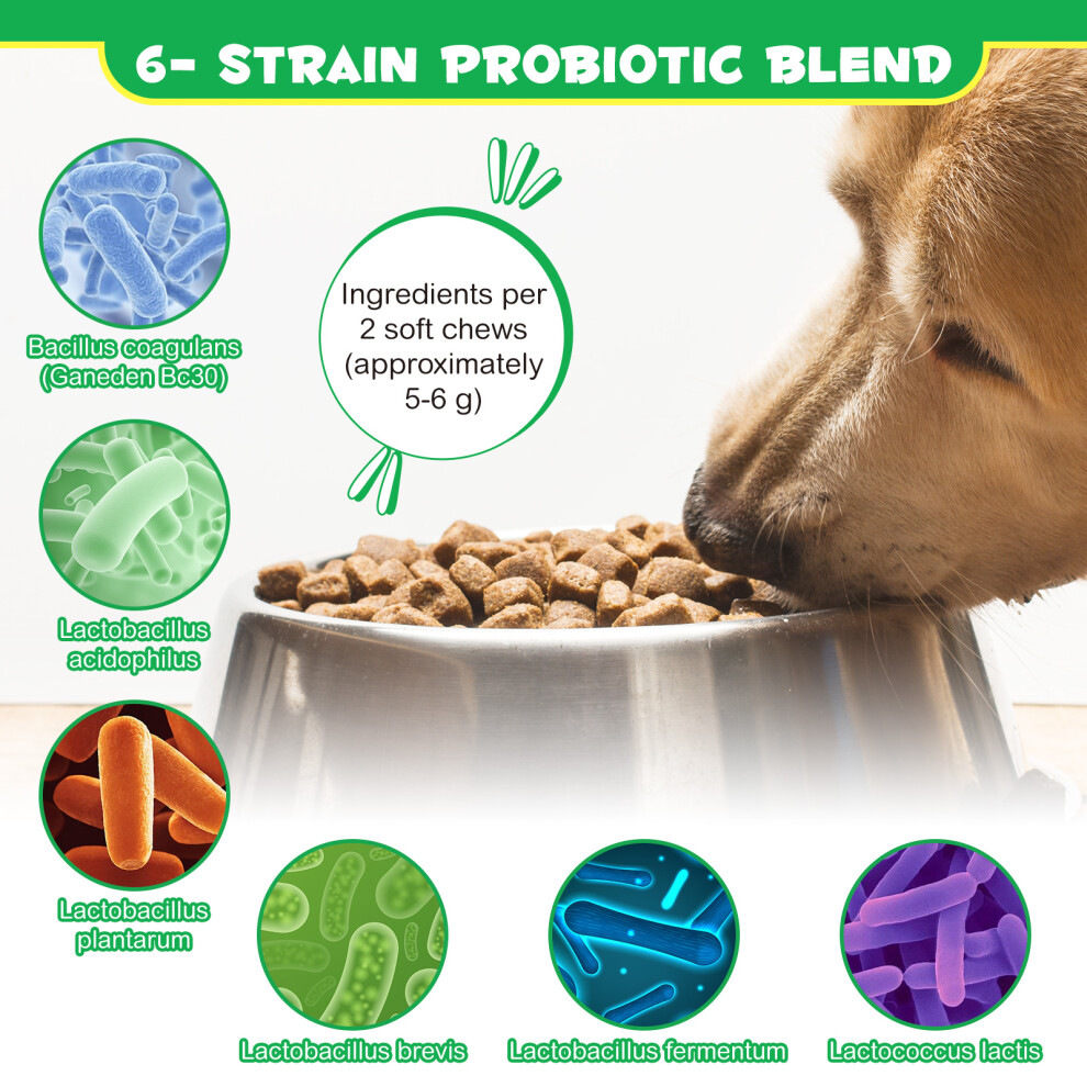 (120 Treats) Daily Pre Probiotics Food Treats Chews For Dog Healthy ...