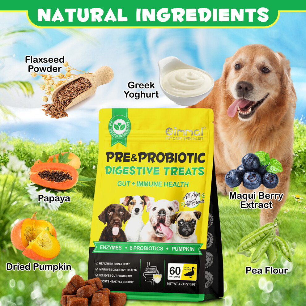 (120 Treats) Daily Pre Probiotics Food Treats Chews For Dog Healthy ...