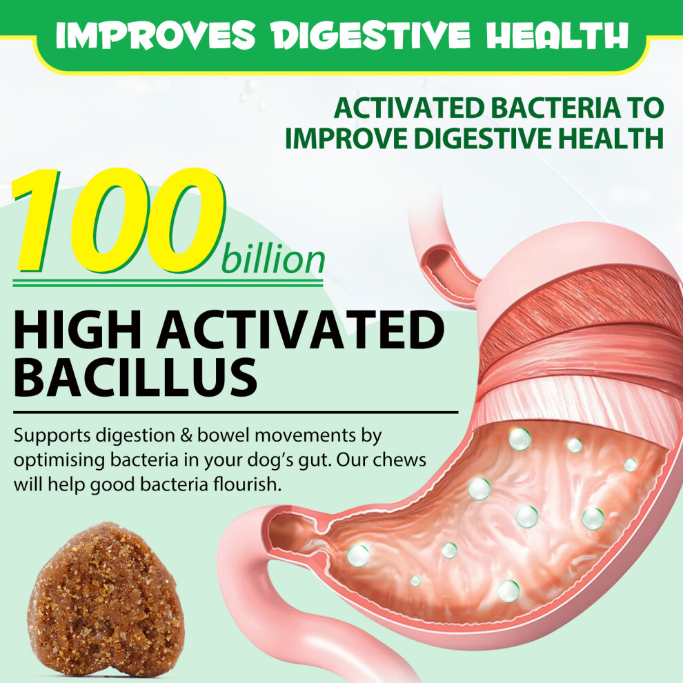 (120 Treats) Daily Pre Probiotics Food Treats Chews For Dog Healthy ...