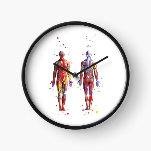 (Muscular System, watercolor anatomy art, human muscles, medical art ...