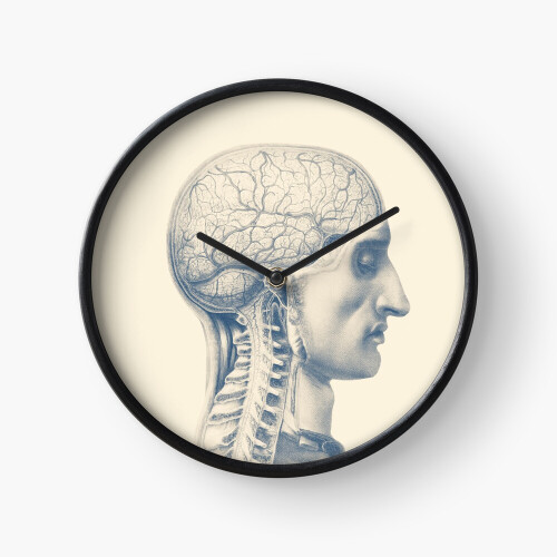 (Brain and Spinal Anatomy - Side View=8765) Wall Clock 12 Inch Funny ...