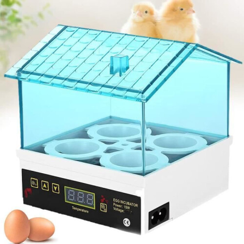 Mini Automatic Incubator, Hen Egg Incubator 4 Eggs, Transparent and ...