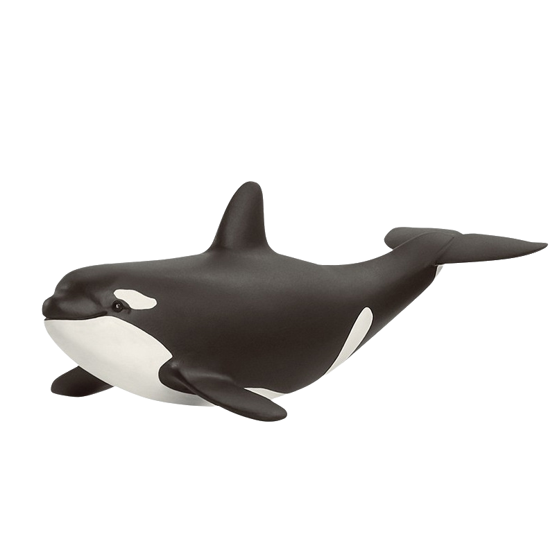 (Killer Whale) Schleich Marine Animal Killer Whale Hammerhead Shark ...