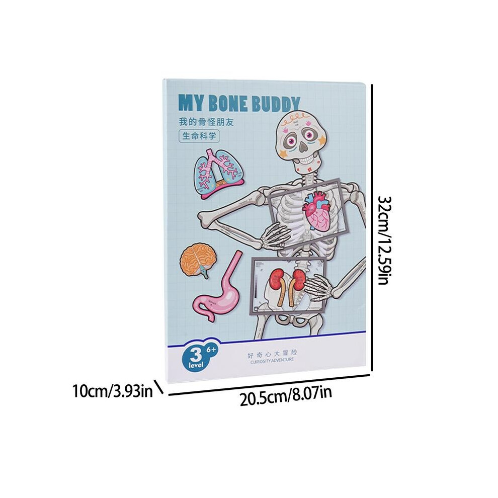 Montessori Human Body Anatomy Play Set Human Structure Muscles Skeleton ...