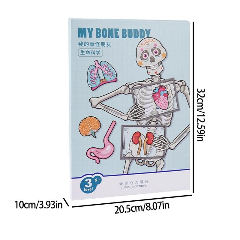 Montessori Human Body Anatomy Play Set Human Structure Muscles Skeleton ...