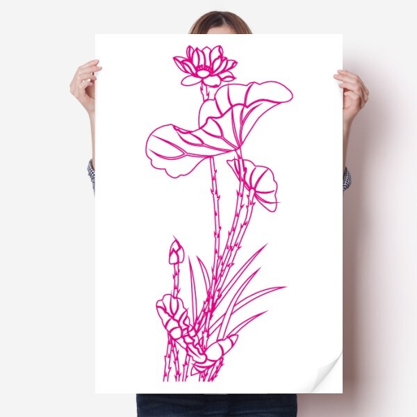 Lotus Lotus Flower Reed Flower Sticker Decoration Poster Playbill ...