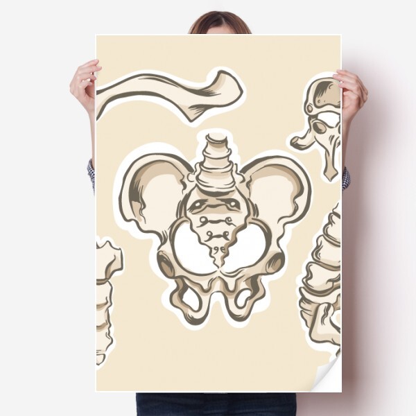 Simple Sketch Of Human Skeleton Sticker Decoration Poster Playbill ...