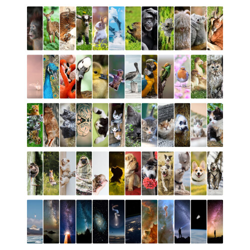 Cool Bookmarks for Kids Classroom Cute Bookmarks For Book Lovers Book ...