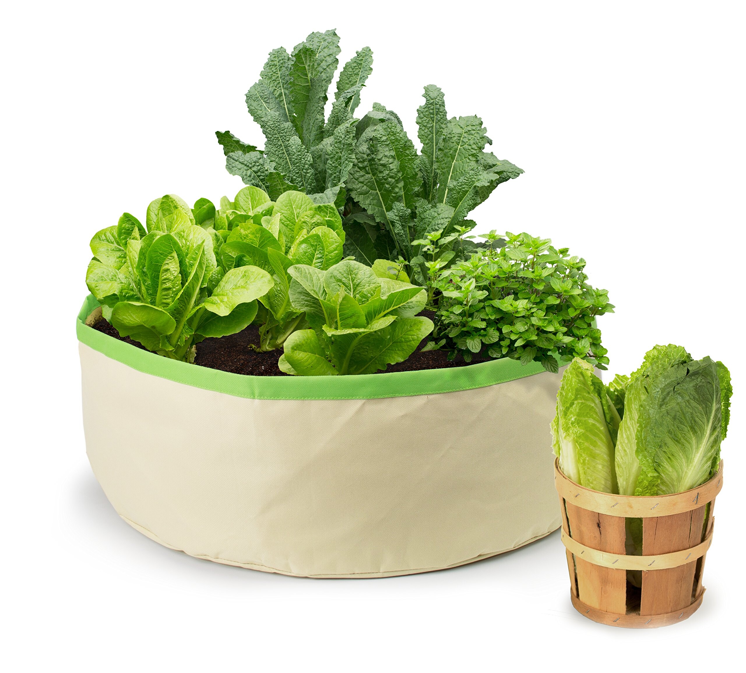 Homegrown Gourmet HGBHG Herbs and Greens Harvest Grow Bag 1 EA on OnBuy