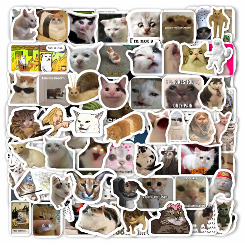 100Pcs Cat Meme Stickers - Funny Cat Stickers Crying Cat Meme Sad Cat ...
