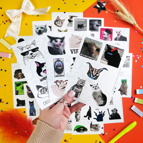 100Pcs Cat Meme Stickers - Funny Cat Stickers Crying Cat Meme Sad Cat ...