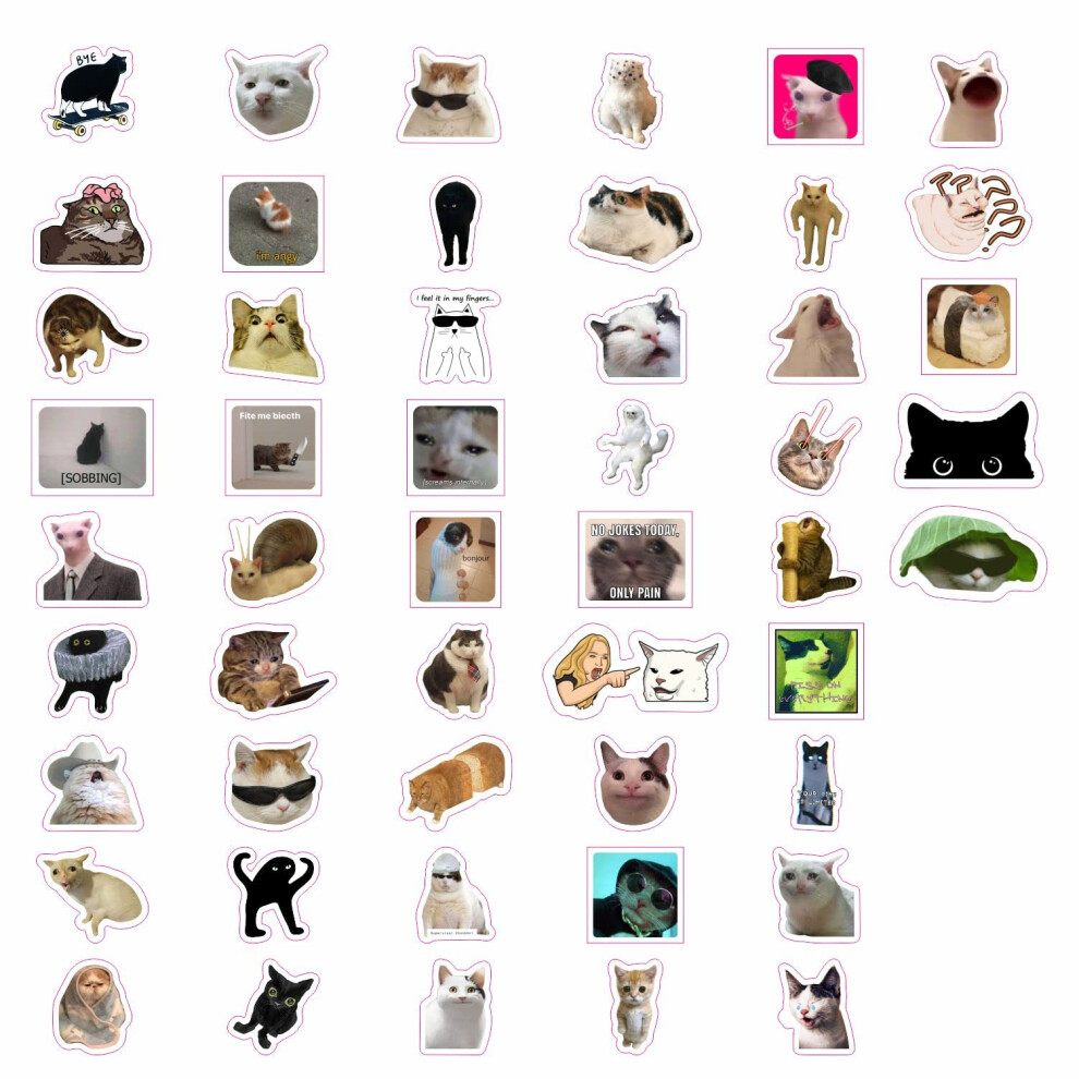 100Pcs Cat Meme Stickers - Funny Cat Stickers Crying Cat Meme Sad Cat ...