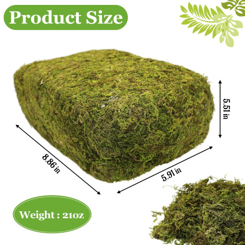 RIARE 1,3lbs de fausse mousse artificielle pour les fausses plantes ...