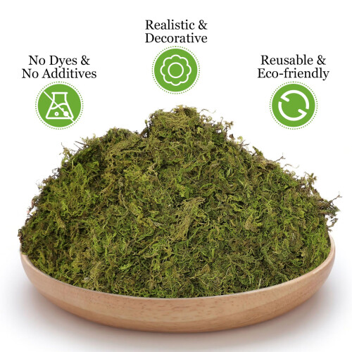 RIARE 1,3lbs de fausse mousse artificielle pour les fausses plantes ...