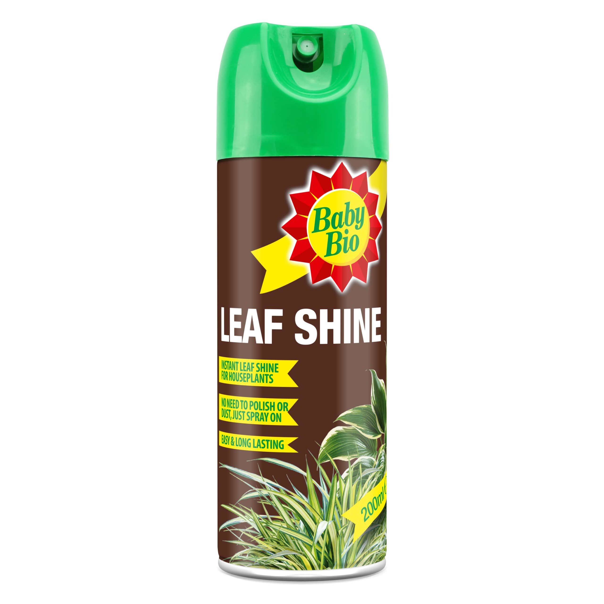 84899143 Leaf Shine, 200ml - Ready To Use Houseplant Care - Aerosol ...