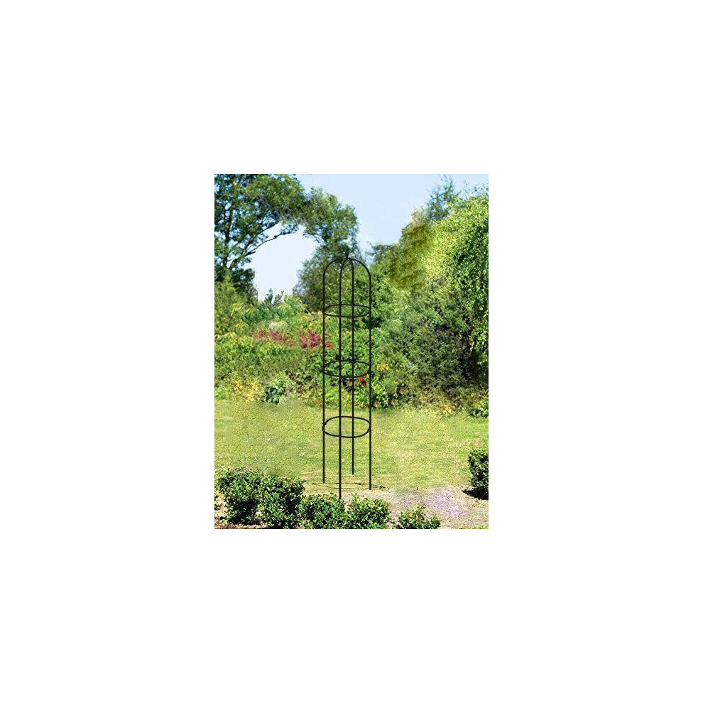 NEW GARDEN ARCH OBELISK METAL TRELLIS CLIMBER PLANT SUPPORT CLIMBING ...