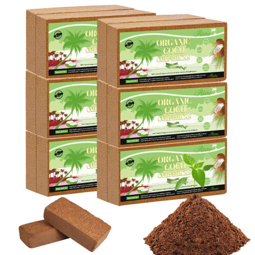 Riare 12pcs Organic Coco Coir Bricks Soil Blocks 100 Natural Compressed ...