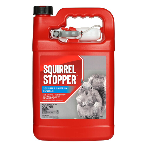 Messina Wildlife Squirrel Stopper - Effective Food Grade Ingredients ...
