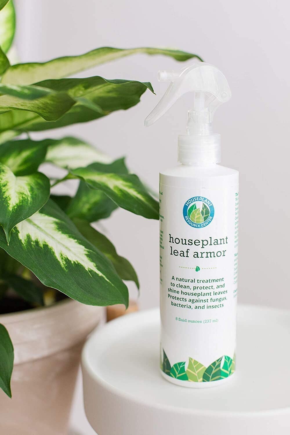 HOUSEPLANT RESOURcE cENTER Plant Leaf Armor - Leaf Shine and Indoor ...