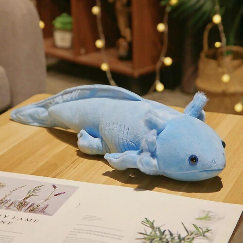(blue, 80cm) 45-80cm Kawaii Colorful Newt Plush Toy Stuffed Cute ...