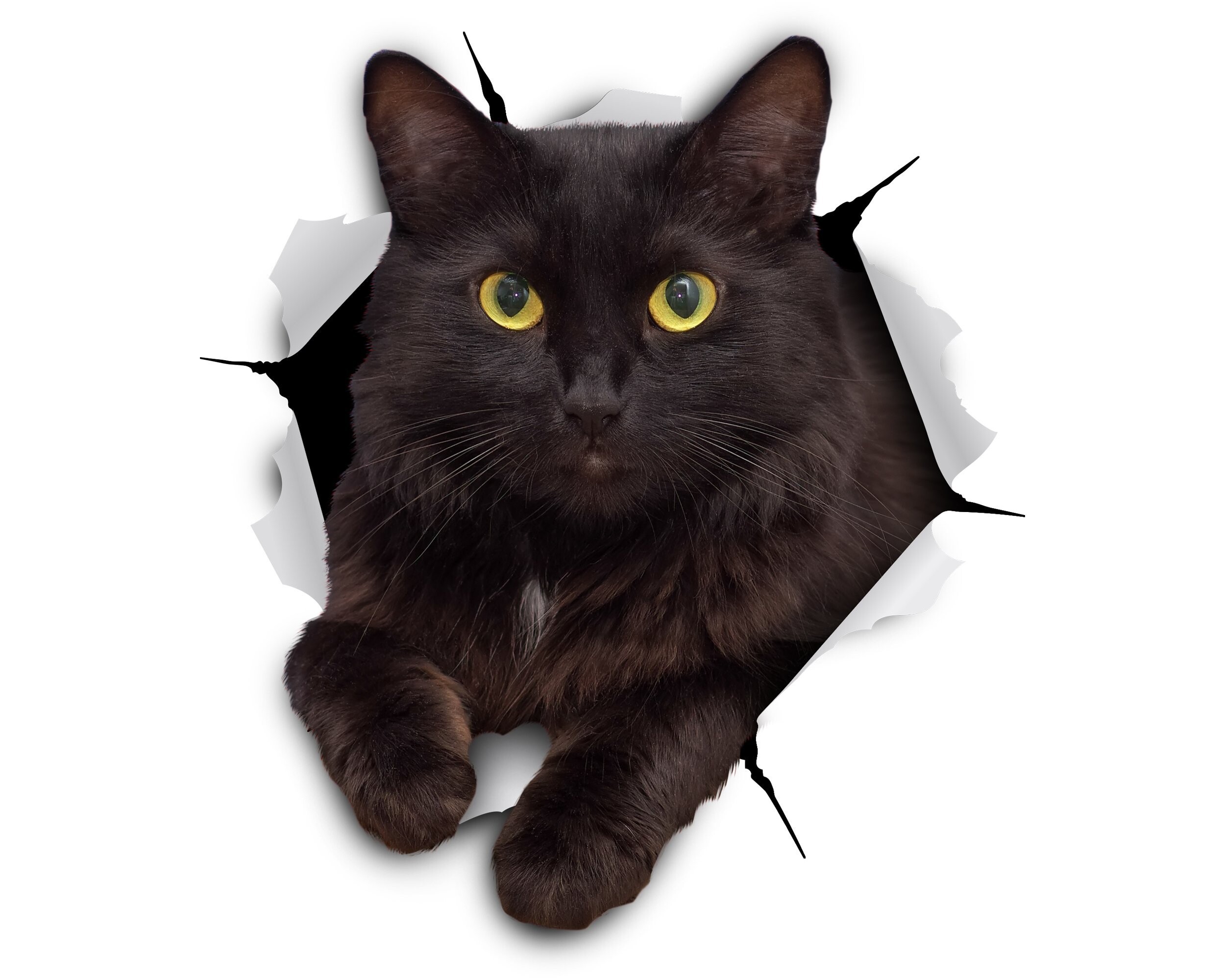 Winston & Bear 3D Cat Stickers - 2 Pack - Black Cat Wall Decals - Cat ...