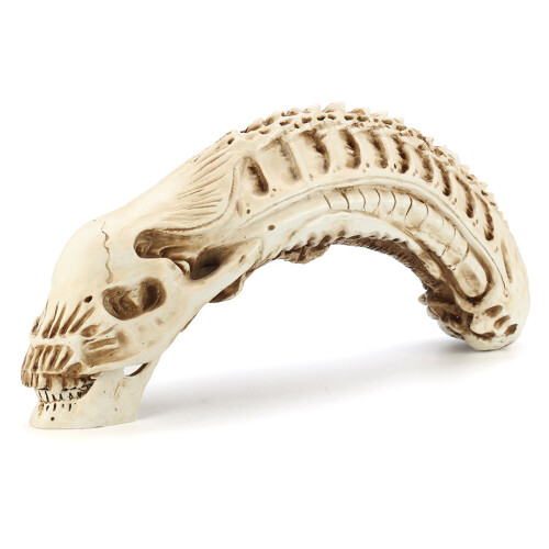 Xenomorph Alien Movie Skull Resin Heteromorphosis Sketch Model Home ...