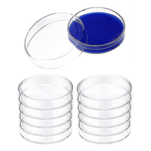 Glass Dish Set Borosilicate Lab Plates Transparent Tissue Culture ...