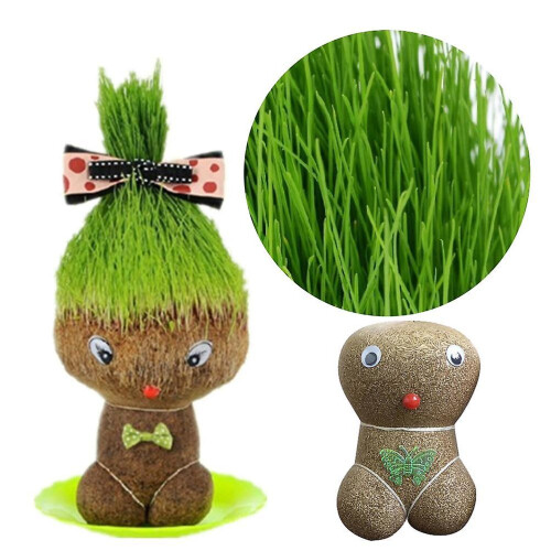 Grass Head Doll, Big Eyes, Cute Boy, Big Flat Head, Medium Size Grass ...