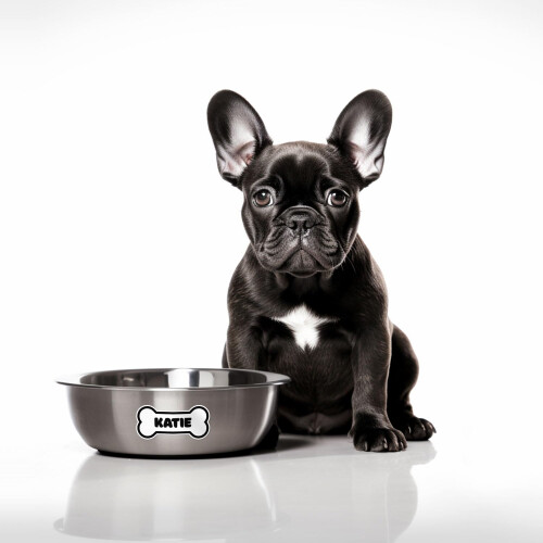 Katie Dog Name Sticker - Waterproof Vinyl Decal for Car Bumper Laptop ...